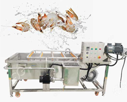 PUD Shrimp Washing and Grading Conveyor System Manufacture