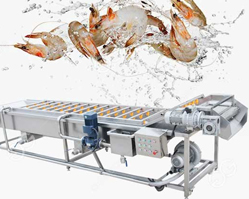 PUD Shrimp Washing and Grading Conveyor System Manufacture